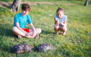 How pets can benefit children’s learning and development - ExoticDirect